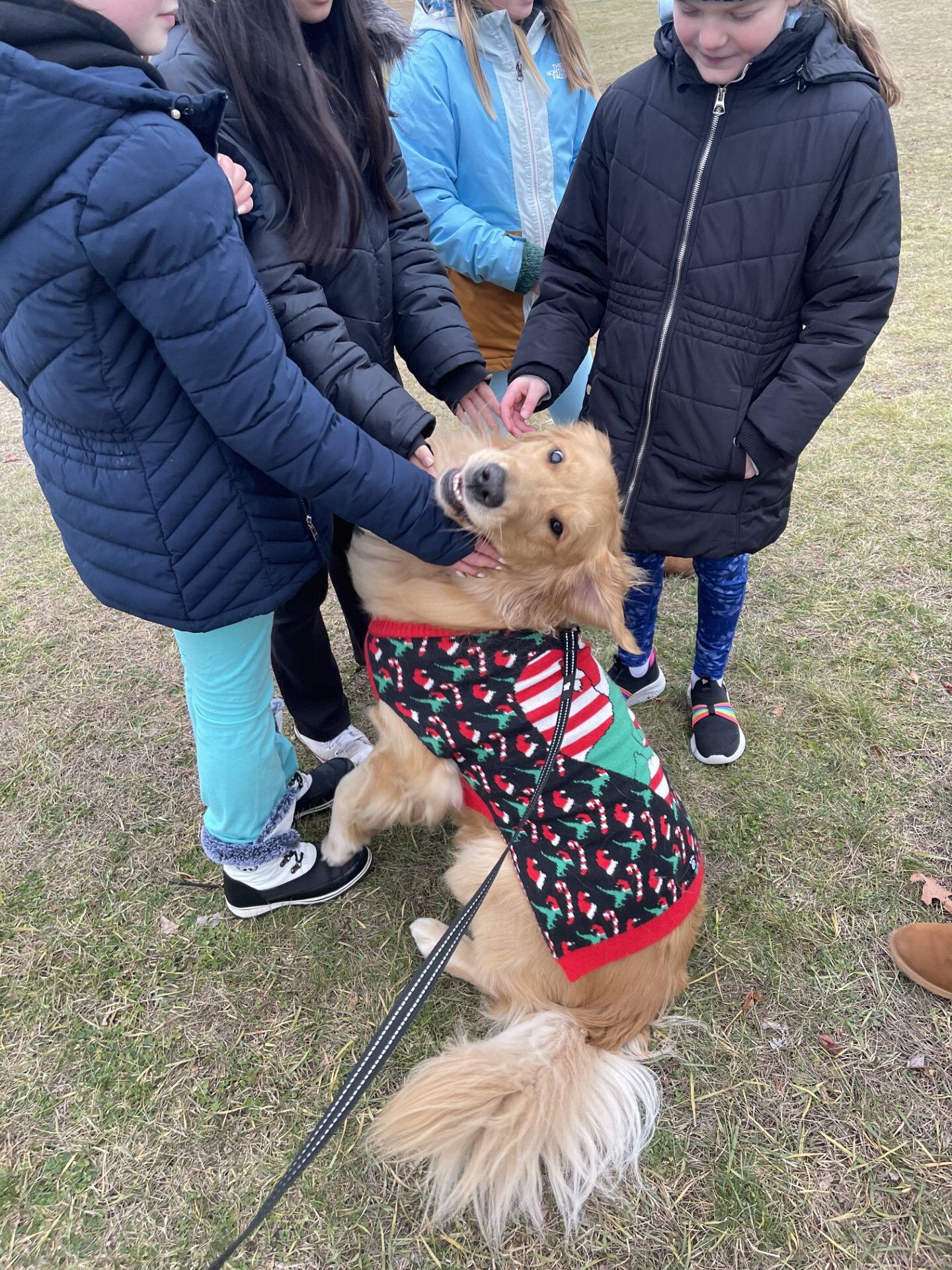 Meadow Ridge Newsletter - Meadow Ridge - Elementary - Schools ...