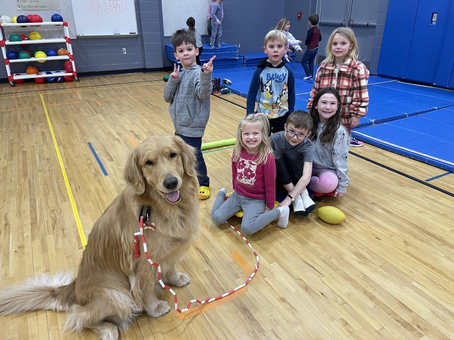 Meadow Ridge Newsletter - Meadow Ridge - Elementary - Schools ...